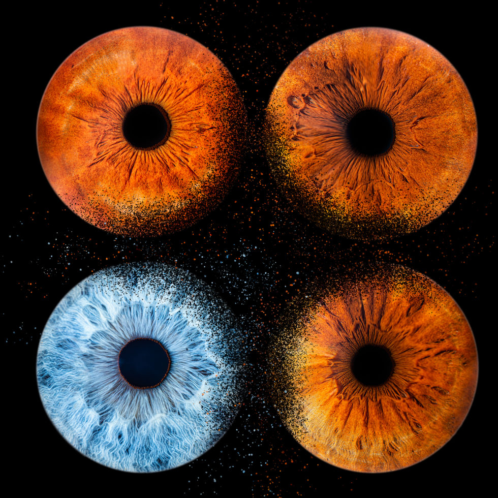 Iris - Romain Bebon / votre iris en photo sur bourg en Bresse