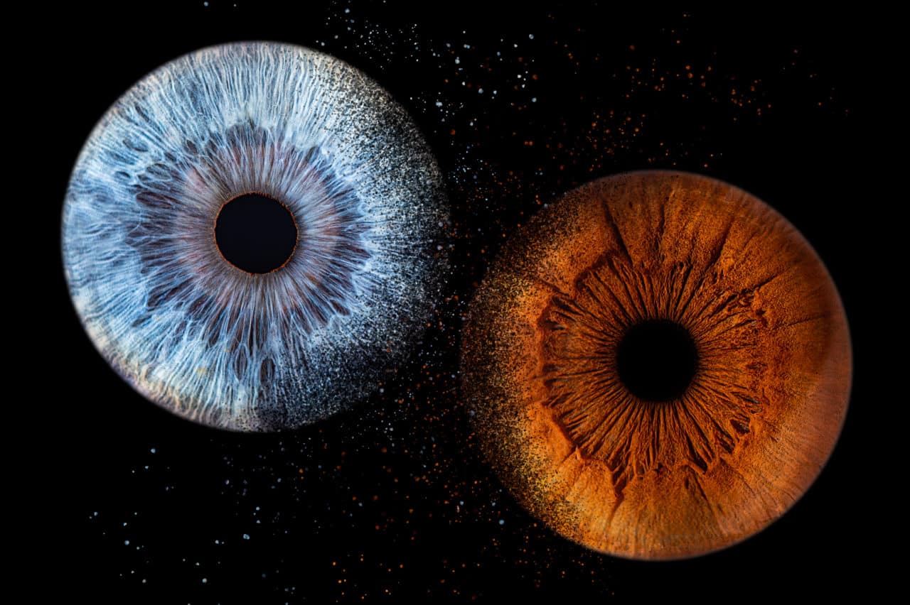 Iris - Romain Bebon / votre iris en photo sur bourg en Bresse