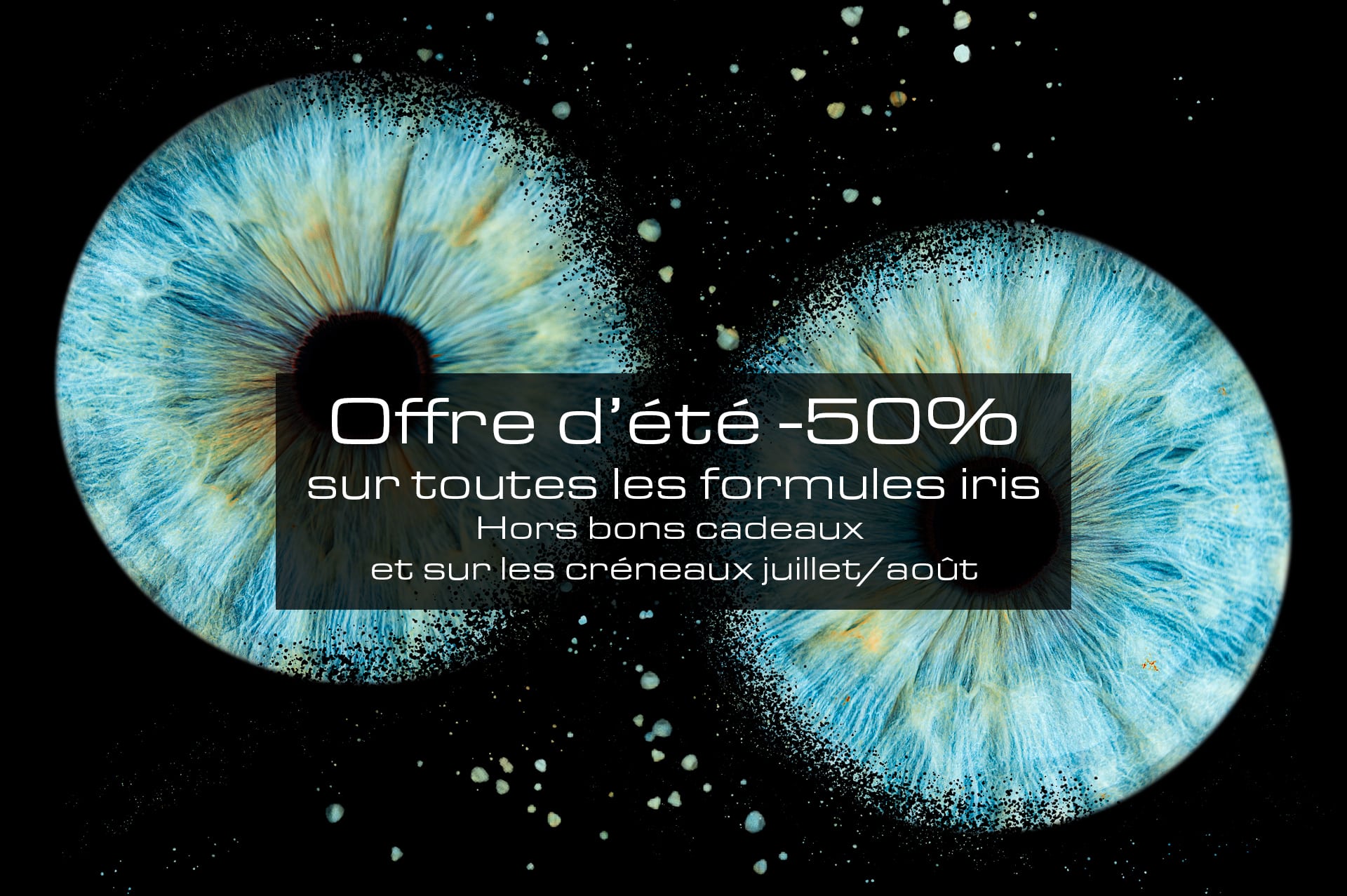 Iris - Romain Bebon / votre iris en photo sur bourg en Bresse