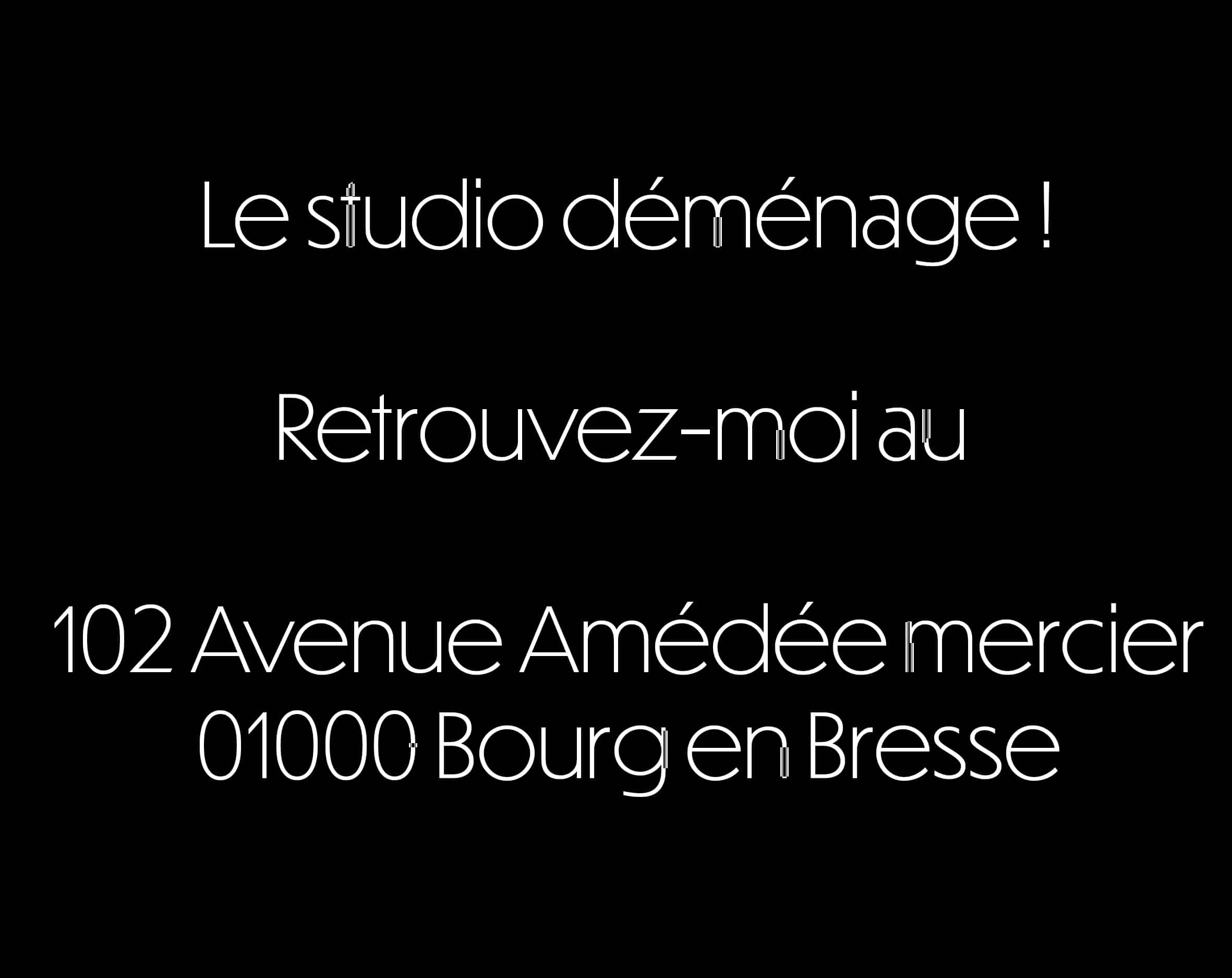 Bienvenue - Romain Bebon photographe bourg en bresse