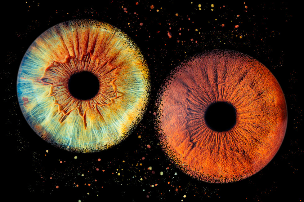 Iris - Romain Bebon / votre iris en photo sur bourg en Bresse