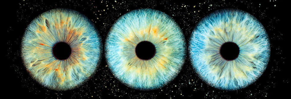 Iris - Romain Bebon / votre iris en photo sur bourg en Bresse